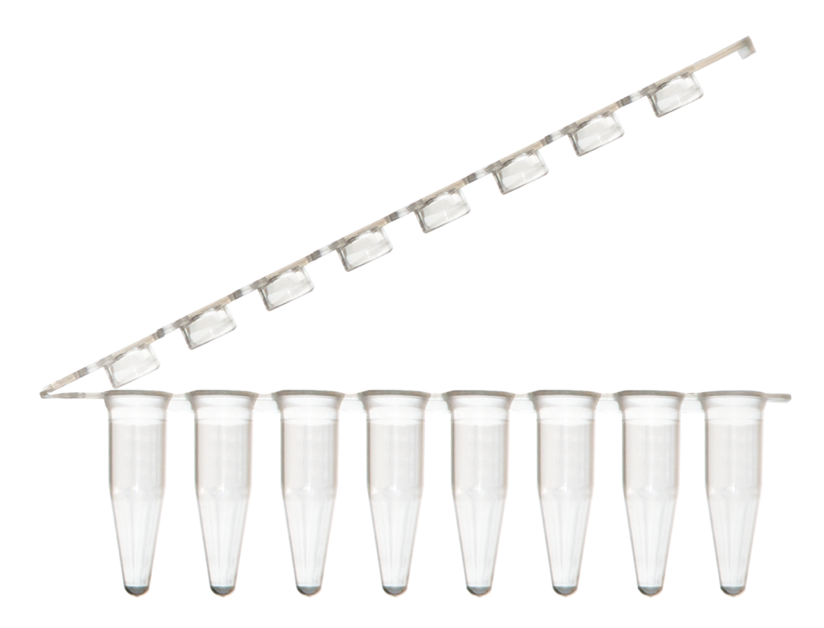 PCR Strips with attached Caps - STARLAB