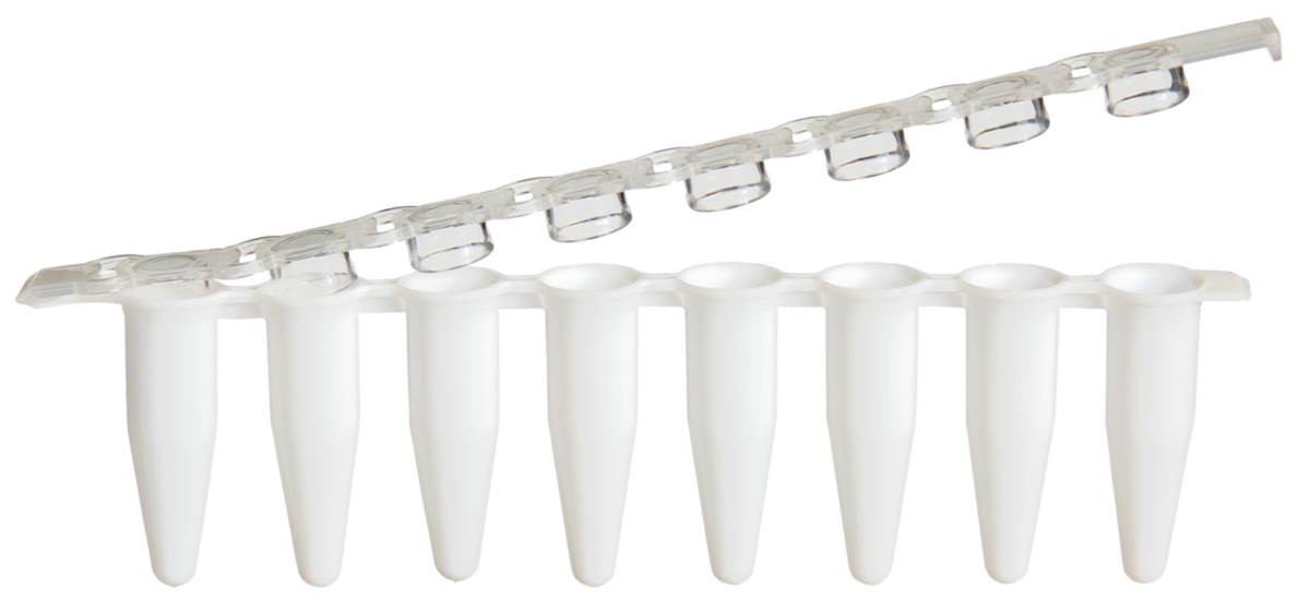 0.2 ml 8-Strip PCR Tubes, White with Attached Flat (Xtra-Clear) Cap Strip - STARLAB