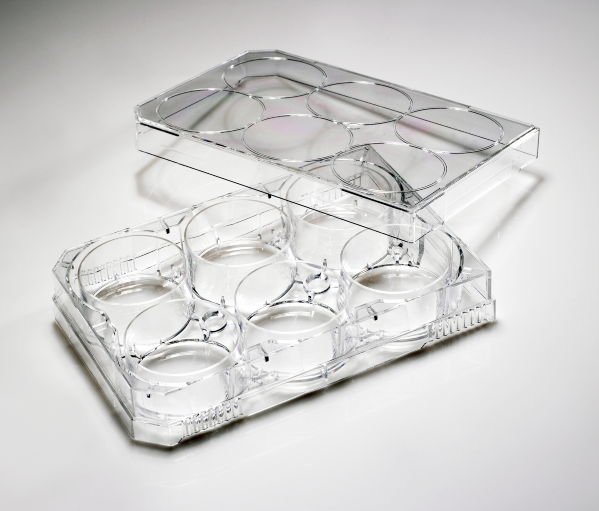 CytoOne® Multiwell Plates - STARLAB