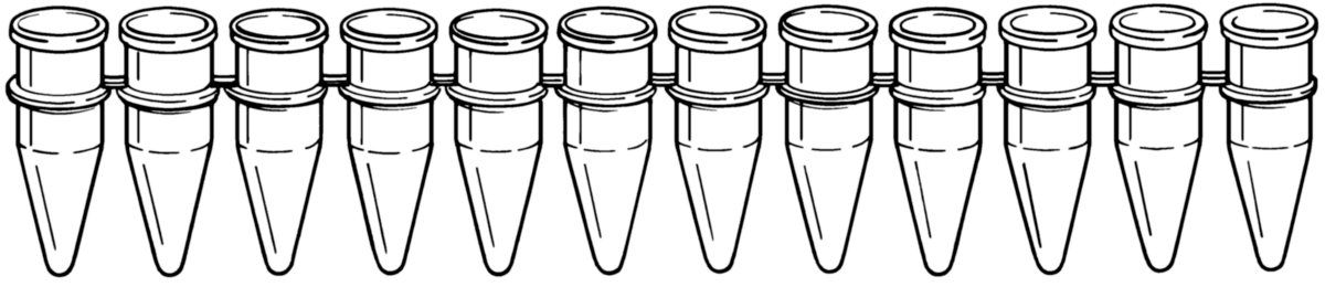 PCR Strips - STARLAB