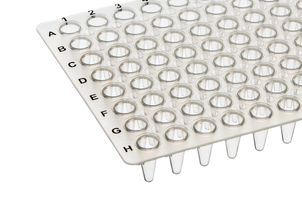 Plaque PCR 96 puits, non jupée, profil bas, naturel (carton) - STARLAB