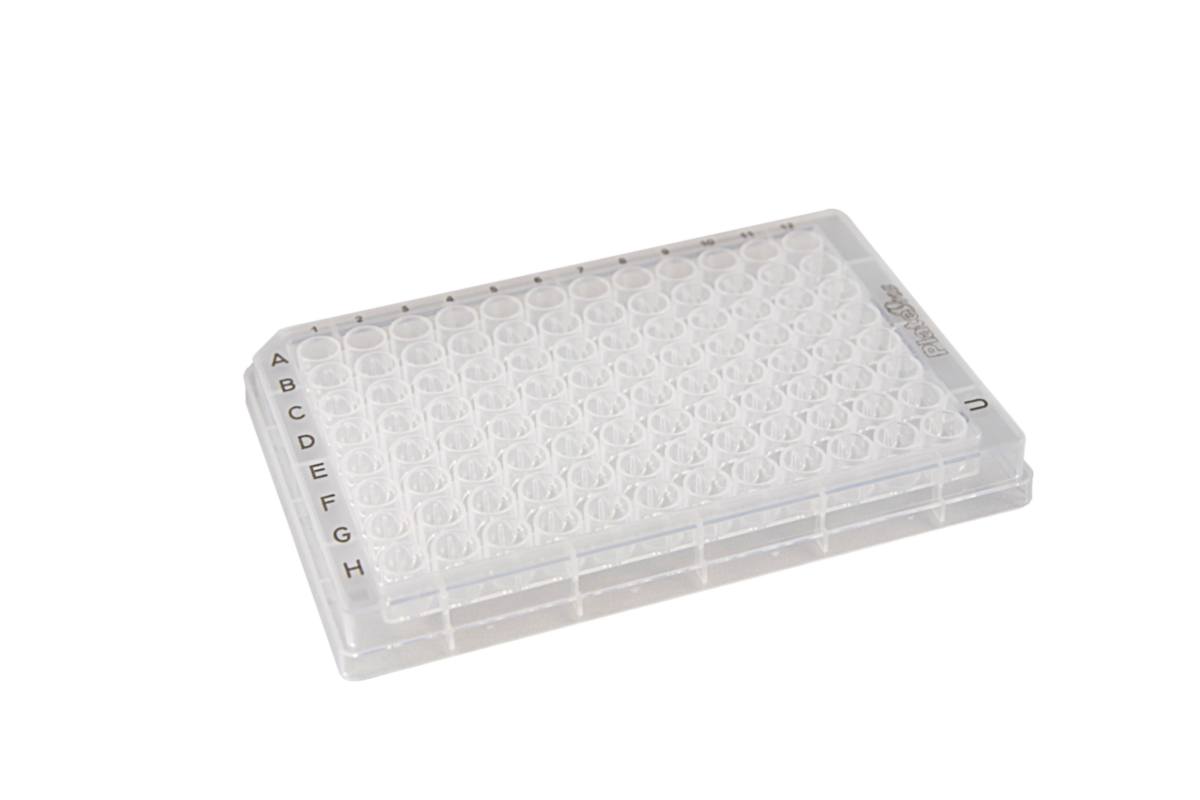 PlateOne® Deepwell Plates - STARLAB