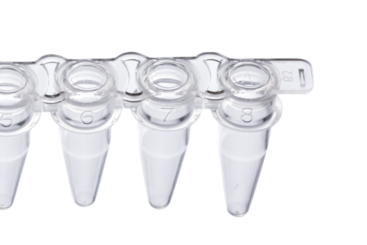 0.2 ml 8-Strip PCR Tubes, Natural and 8-Strip PCR Caps, Flat (Xtra ...