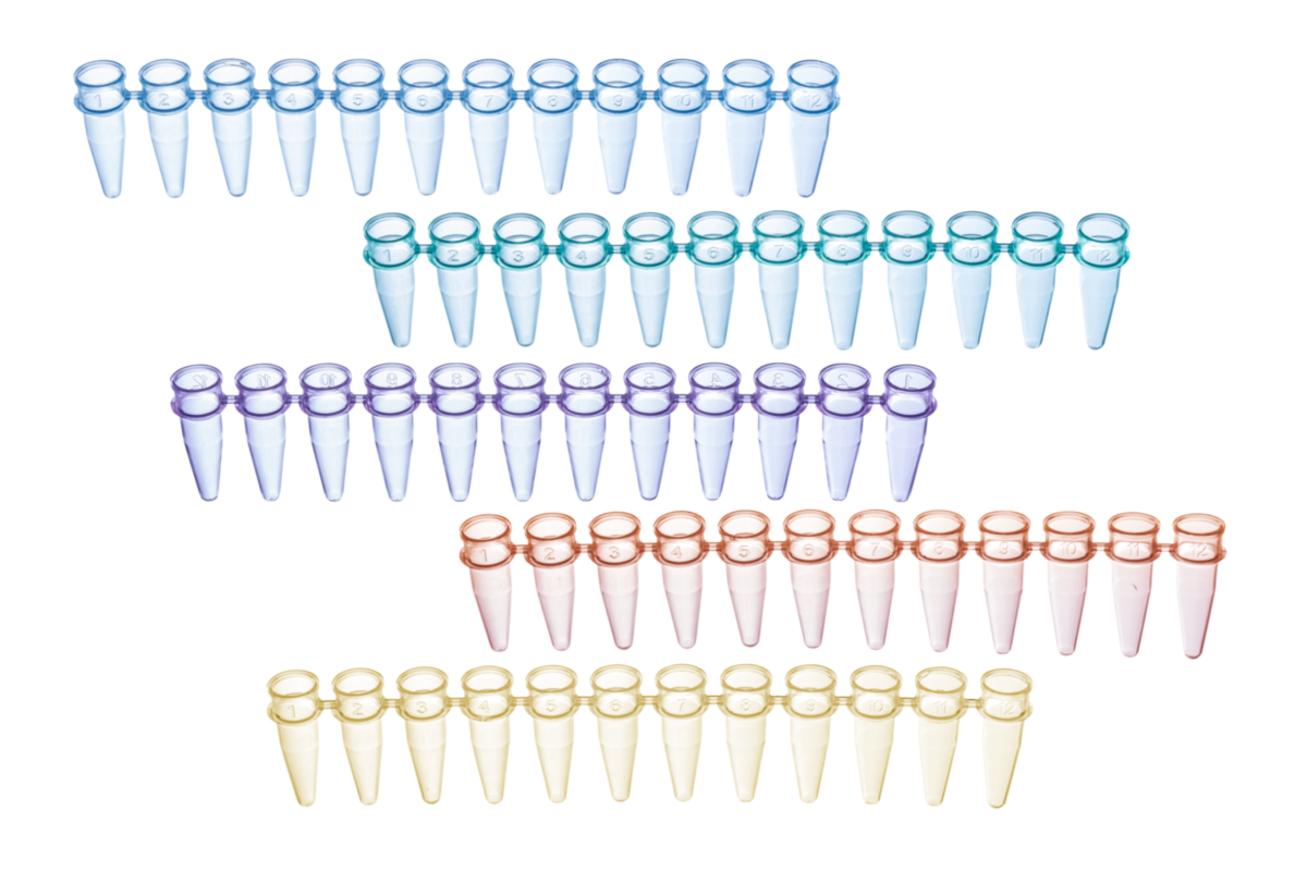 PCR Strips - STARLAB