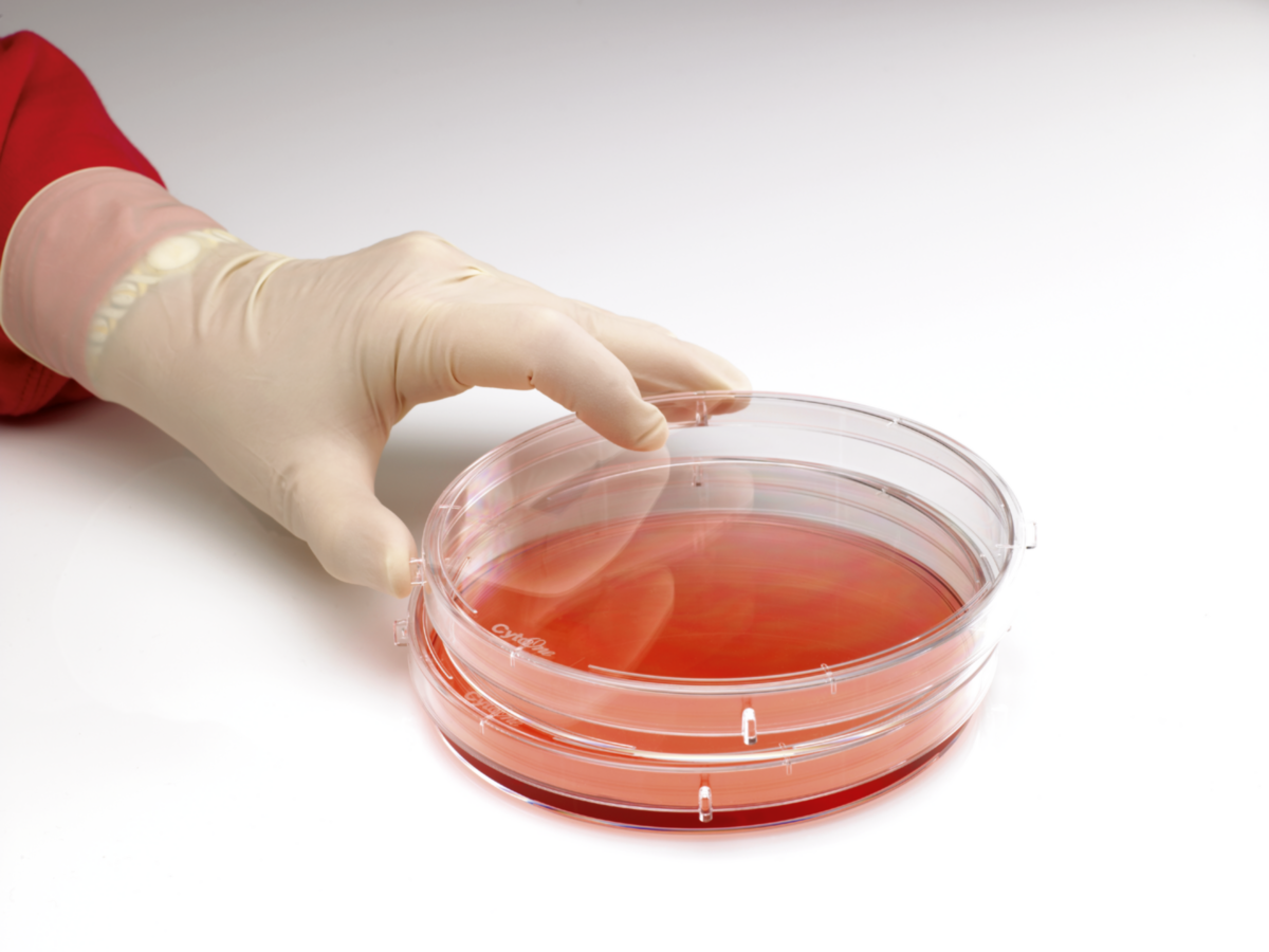 CytoOne® Dishes - STARLAB