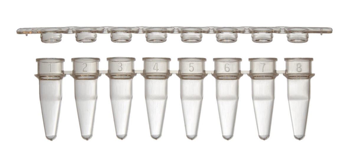 PCR Consumables - STARLAB