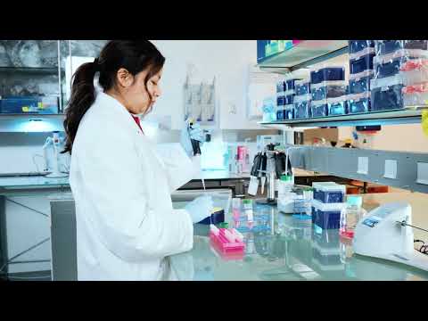 StarGuard® Comfort - STARLAB
