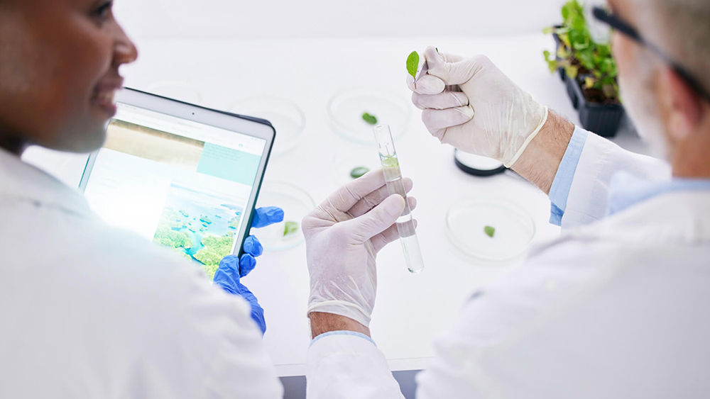 Energy consumption in labs: how to make a real